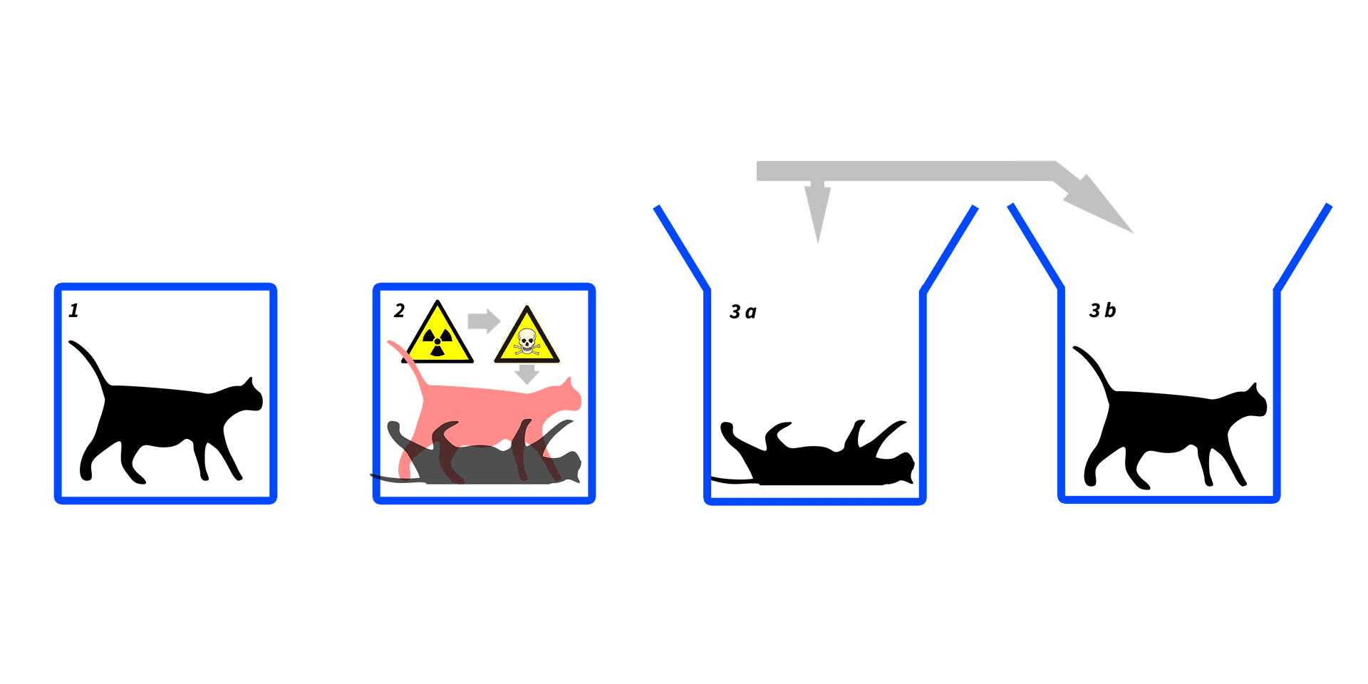 Schrödinger's Cat Thought Experiment Explained